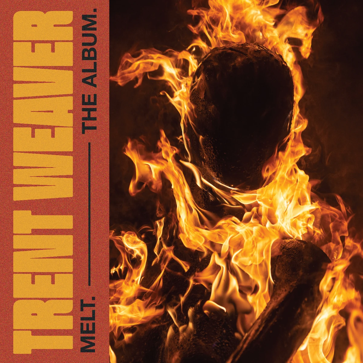 MELT. | Tv19 broadcasting Wiki | Fandom