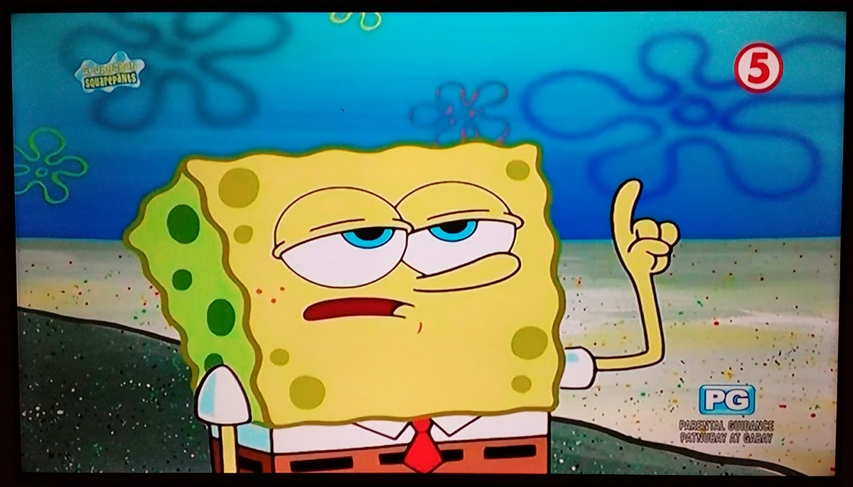 November 11, 2024 | TV5 Schedule Archives Wiki | Fandom