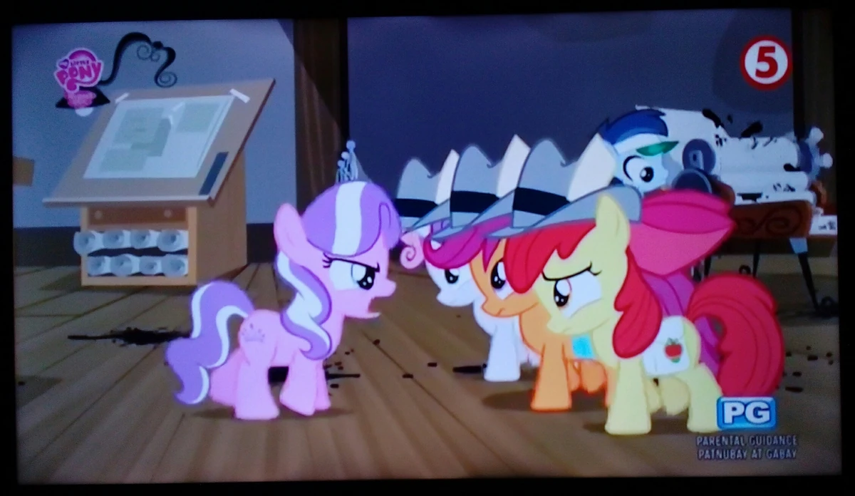 January 5, 2024 | TV5 Schedule Archives Wiki | Fandom