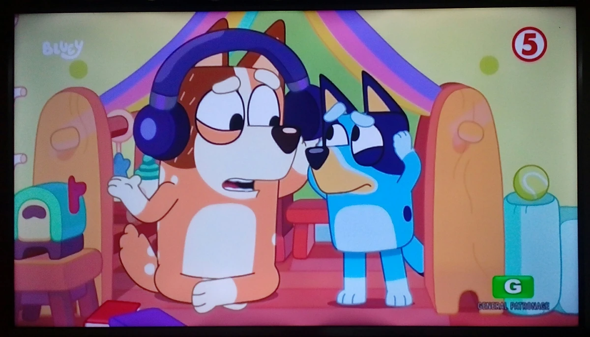 May 24, 2024 | TV5 Schedule Archives Wiki | Fandom