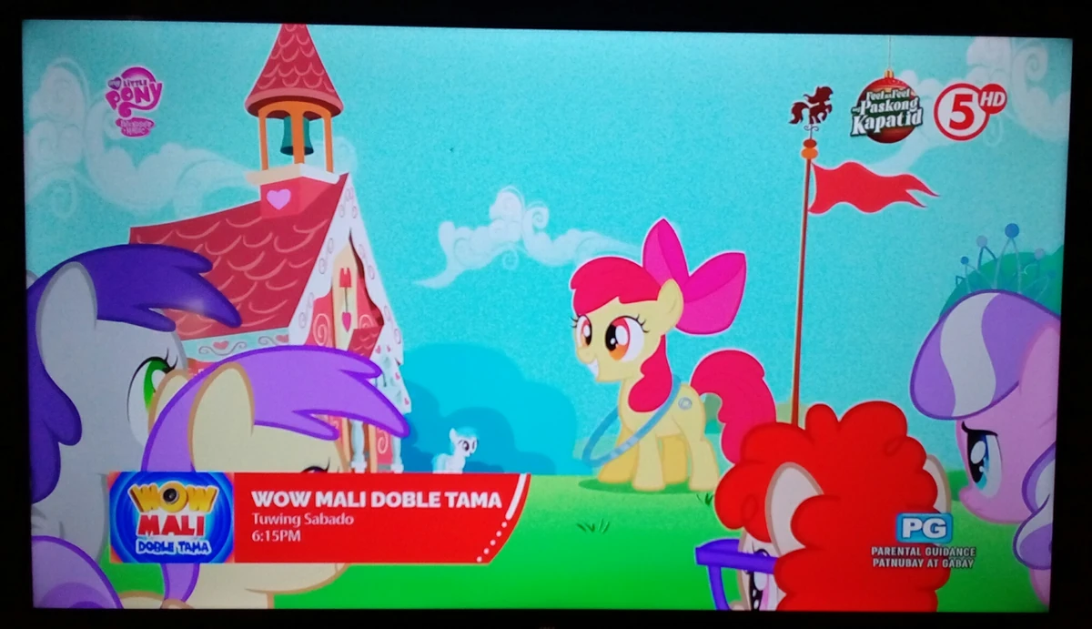 December 14, 2023 | TV5 Schedule Archives Wiki | Fandom