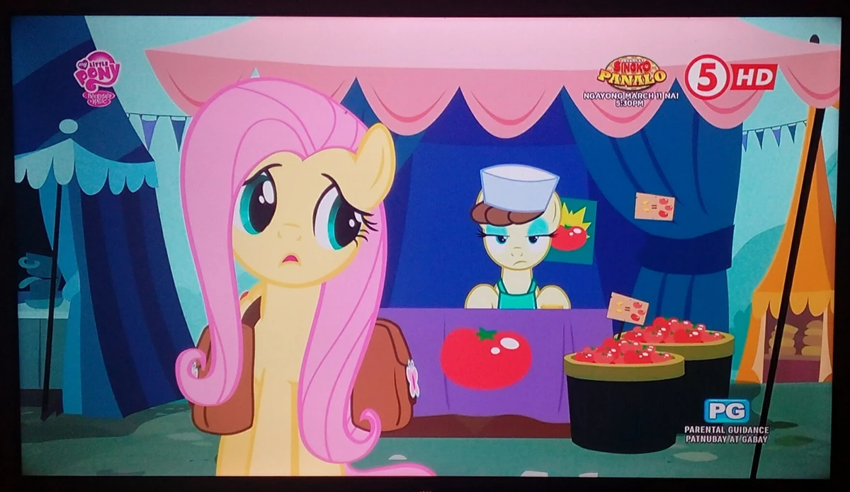 March 5, 2024 | TV5 Schedule Archives Wiki | Fandom