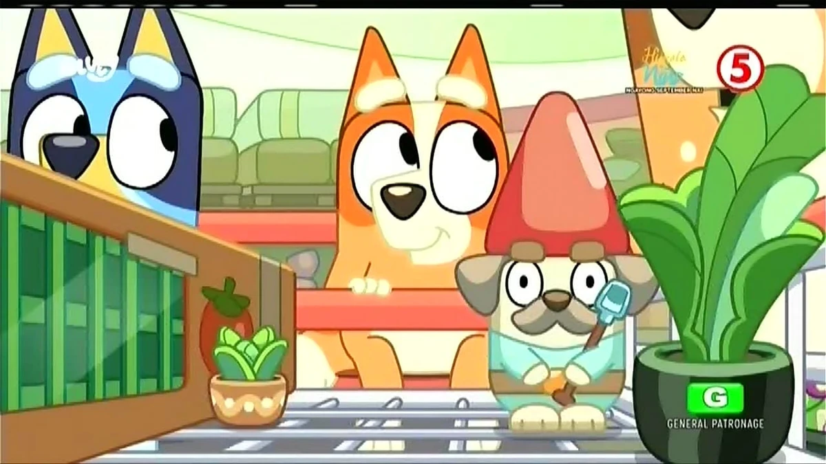 September 10, 2024 | TV5 Schedule Archives Wiki | Fandom