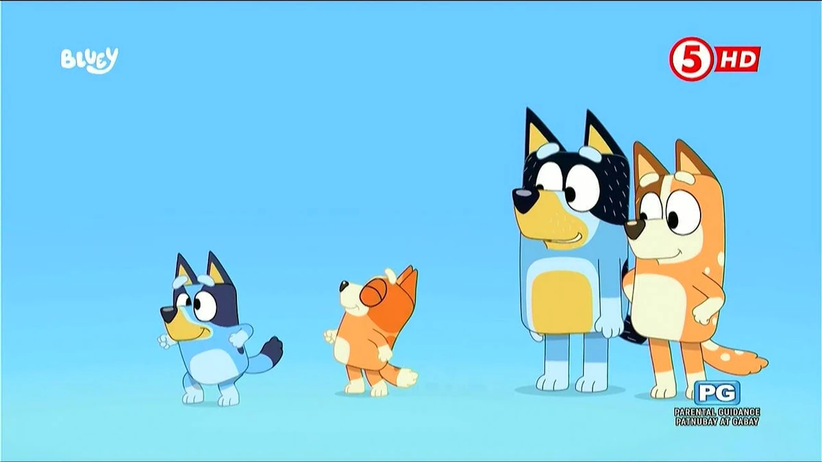 May 3, 2024 | TV5 Schedule Archives Wiki | Fandom