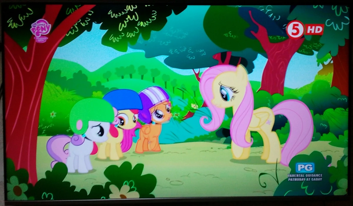 April 19, 2024 | TV5 Schedule Archives Wiki | Fandom