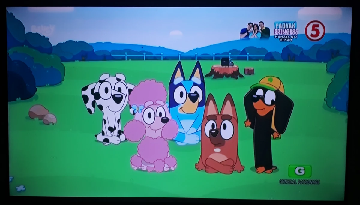 August 12, 2024 | TV5 Schedule Archives Wiki | Fandom