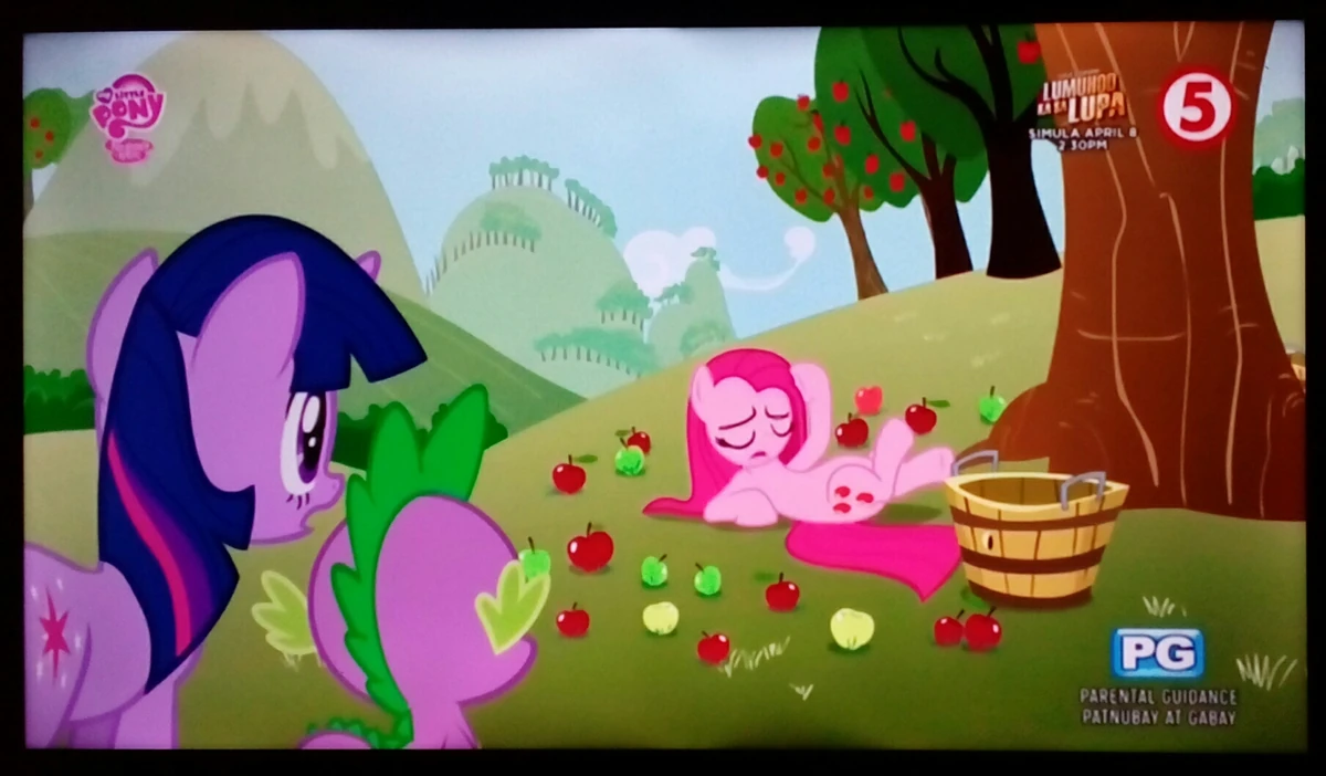 March 25, 2024 | TV5 Schedule Archives Wiki | Fandom