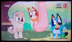 June 5, 2024 | TV5 Schedule Archives Wiki | Fandom