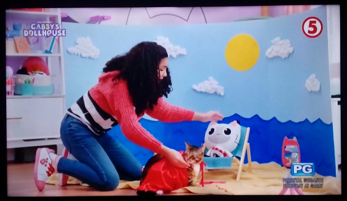 June 24, 2024 | TV5 Schedule Archives Wiki | Fandom