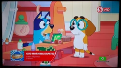 May 1, 2024 | TV5 Schedule Archives Wiki | Fandom