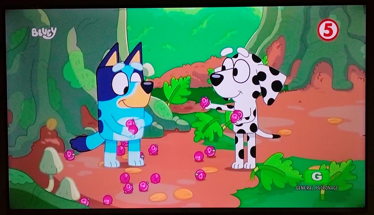 May 20, 2024 | TV5 Schedule Archives Wiki | Fandom