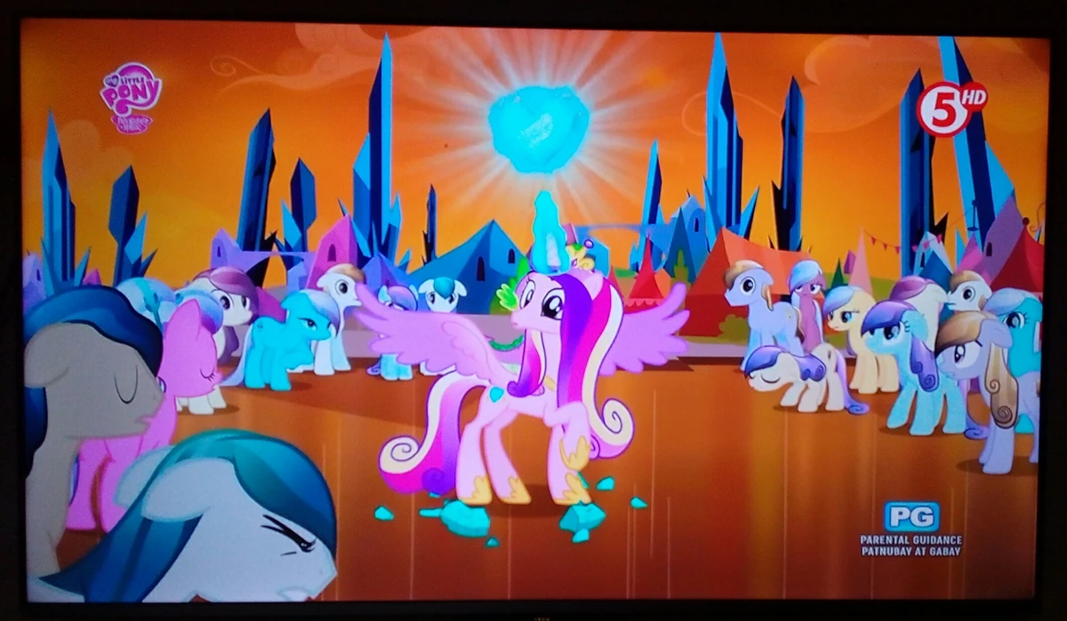 January 10, 2024 | TV5 Schedule Archives Wiki | Fandom