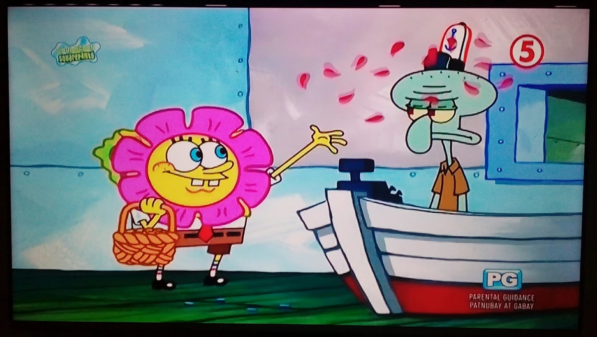 November 21, 2024 | TV5 Schedule Archives Wiki | Fandom