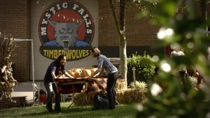 Timberwolves | TVD Fanfiction Wiki | Fandom