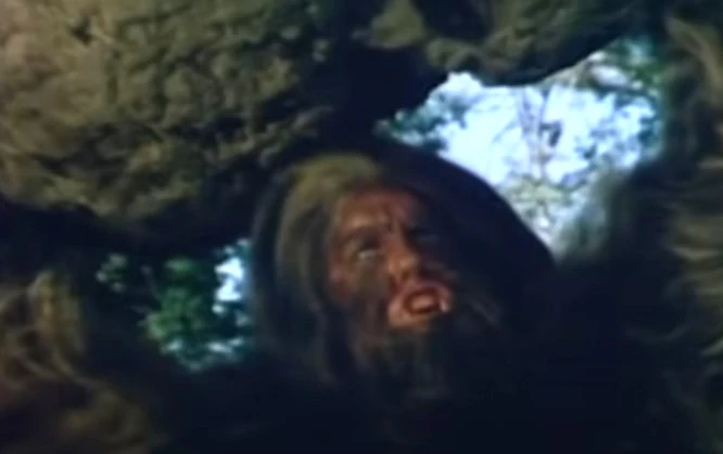 Category:Joseph Butcher/Actor | TV Database Wiki | Fandom