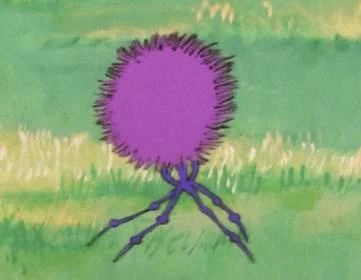 Retlaw plant | TV Database Wiki | Fandom