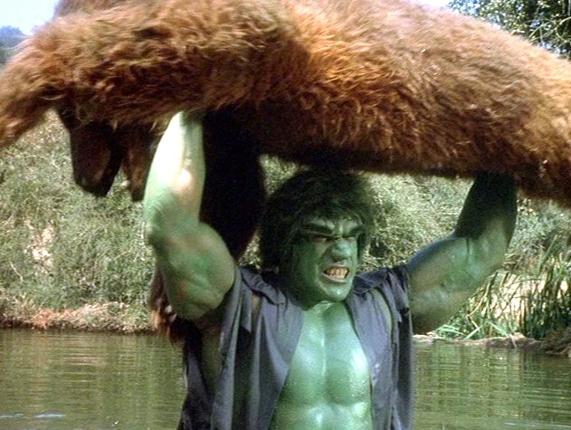 Incredible Hulk: Death in the Family | TV Database Wiki | Fandom