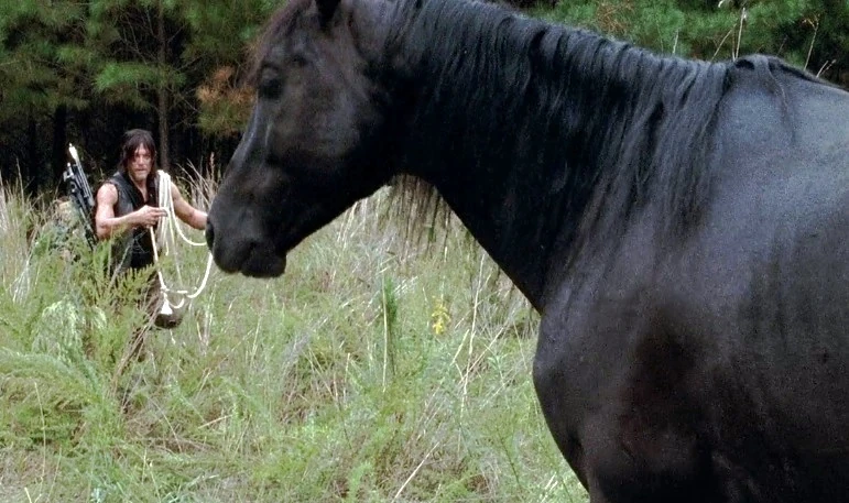 Buttons | TV Database Wiki | Fandom