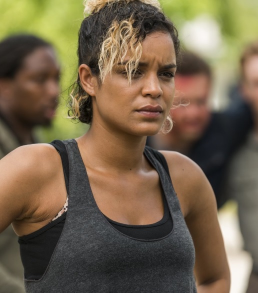 Arat | TV Database Wiki | Fandom Arat | TV Database Wiki | Fandom