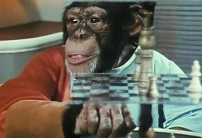 Adam | TV Database Wiki | Fandom