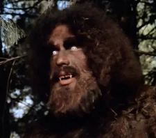 Bionic Bigfoot | TV Database Wiki | Fandom