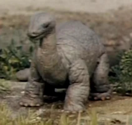 Dopey | TV Database Wiki | Fandom