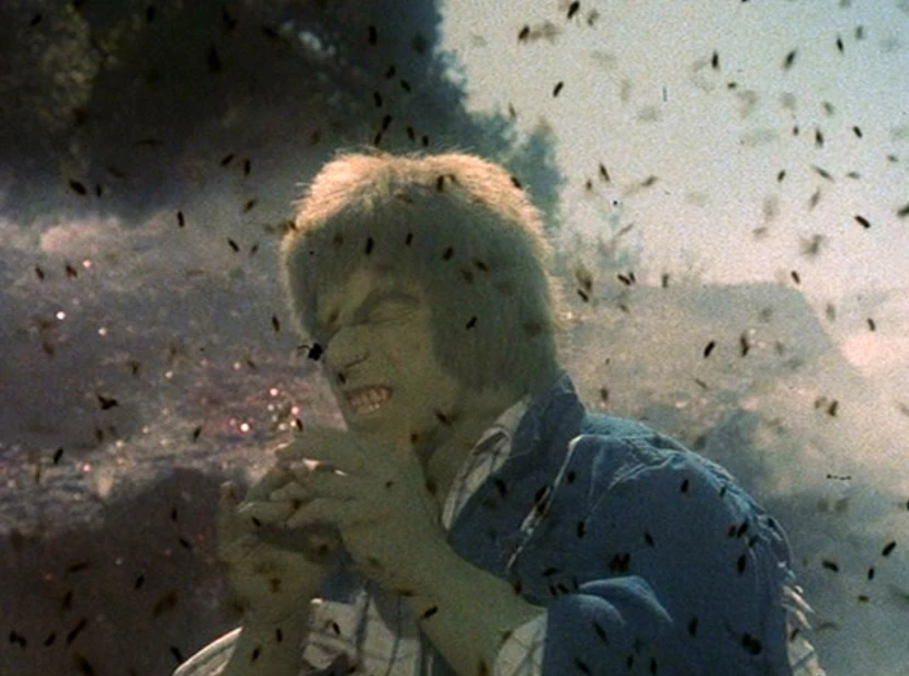 Bees | TV Database Wiki | Fandom