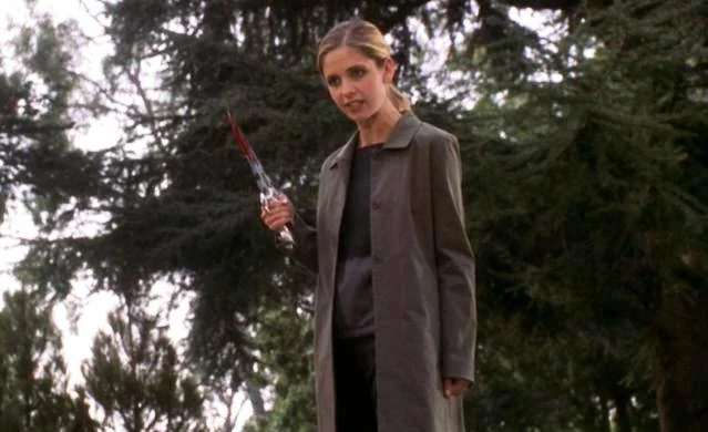 Buffy the Vampire Slayer: This Year's Girl | TV Database Wiki | Fandom