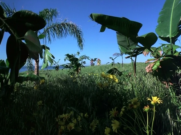 Paradise Island/Wonder Woman | TV Database Wiki | Fandom