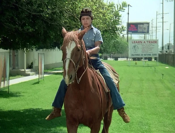 Horses | TV Database Wiki | Fandom