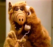 Gordon Shumway | TV Database Wiki | Fandom