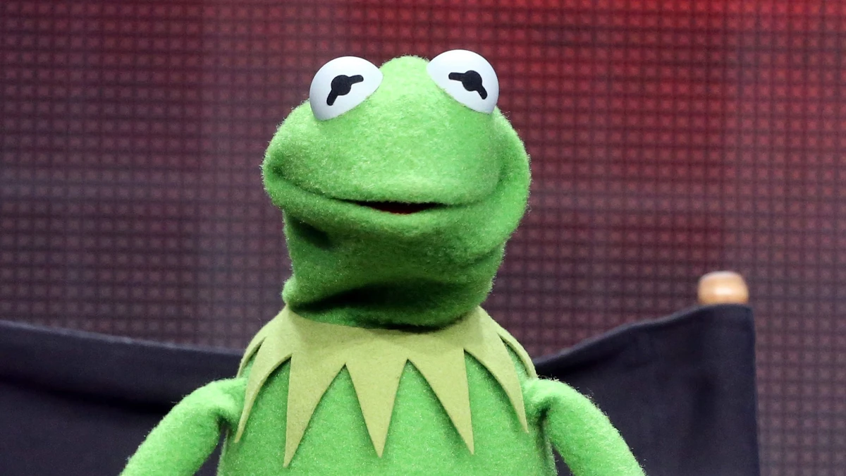 Kermit the Frog | TV Fanon Wiki | Fandom