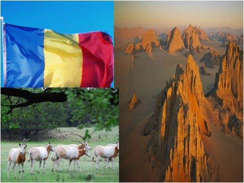 Chad | TV Fanon Wiki | Fandom