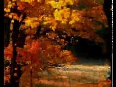 Baby Monet | TV Fanon Wiki | Fandom