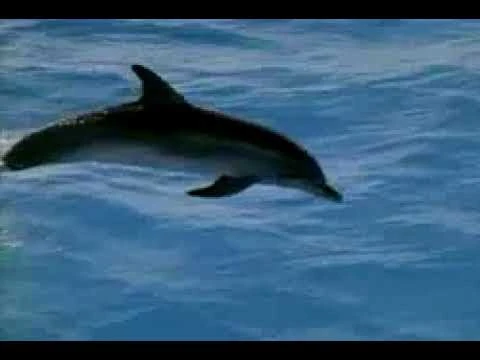 Baby Neptune | TV Fanon Wiki | Fandom