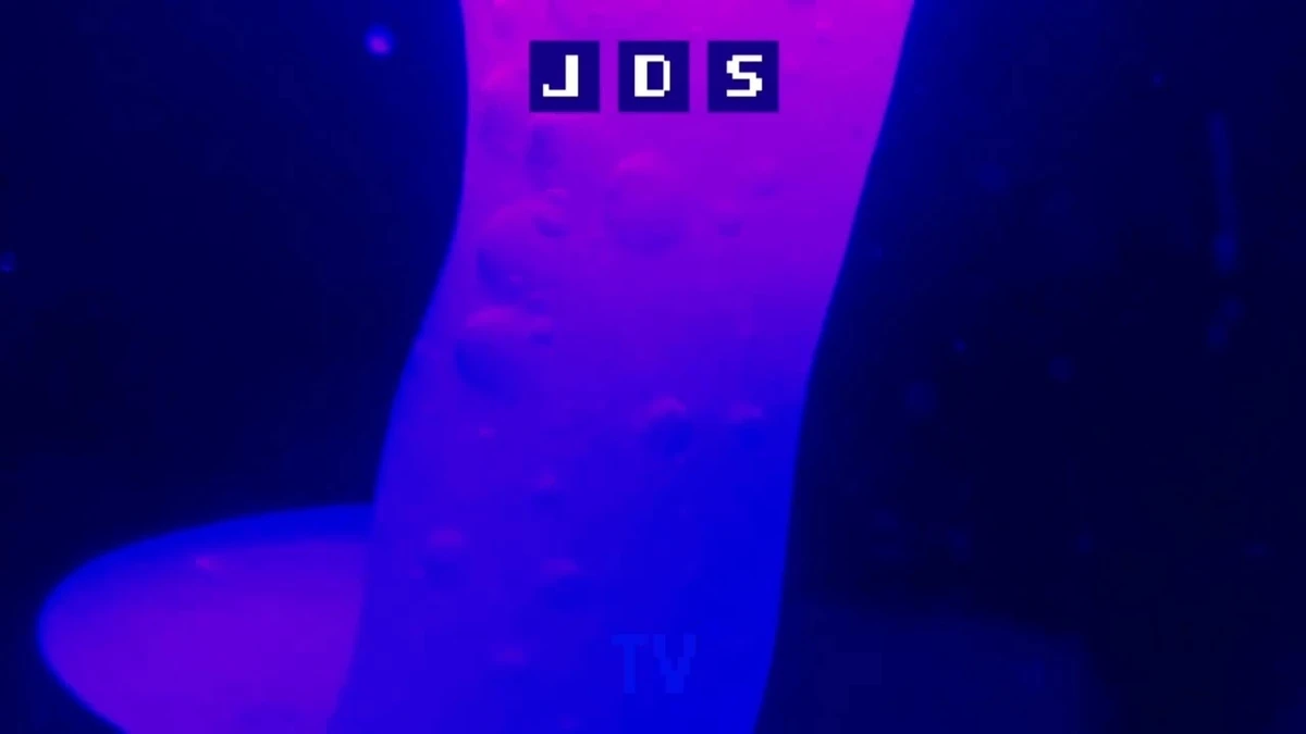 JDS TV | TV Fanon Wiki | Fandom