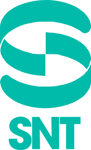 SNT | Mihsign Vision | Fandom