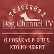 Dog Channel TV | Телепедия | Fandom