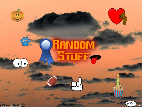 Random Stuff | TV Show Creator Wiki | Fandom