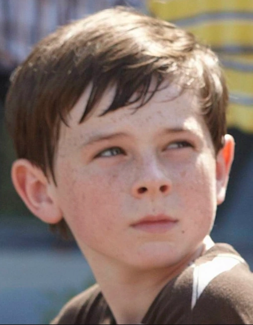 Carl Grimes | TWD Destiny Wiki | Fandom