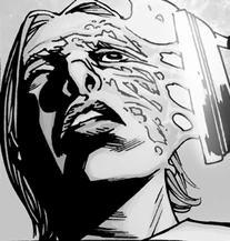 Themes | TWD (The Walking Dead) Wiki | Fandom