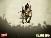 2ª Temporada (TV) | Wiki The Walking Dead | Fandom