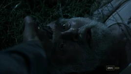 Dale Horvath (TV) | Wiki The Walking Dead | Fandom