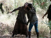 The Walking Dead Webisodes: Red Machete | Wiki The Walking Dead | Fandom