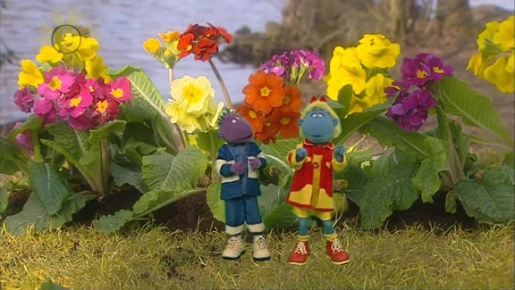 Flowers | Tweenies Wiki | Fandom