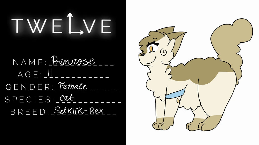 Primrose | Twelve animated series Wiki | Fandom