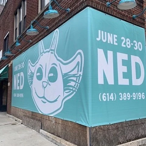 Ned's Bayou | Twenty One Pilots Wiki | Fandom