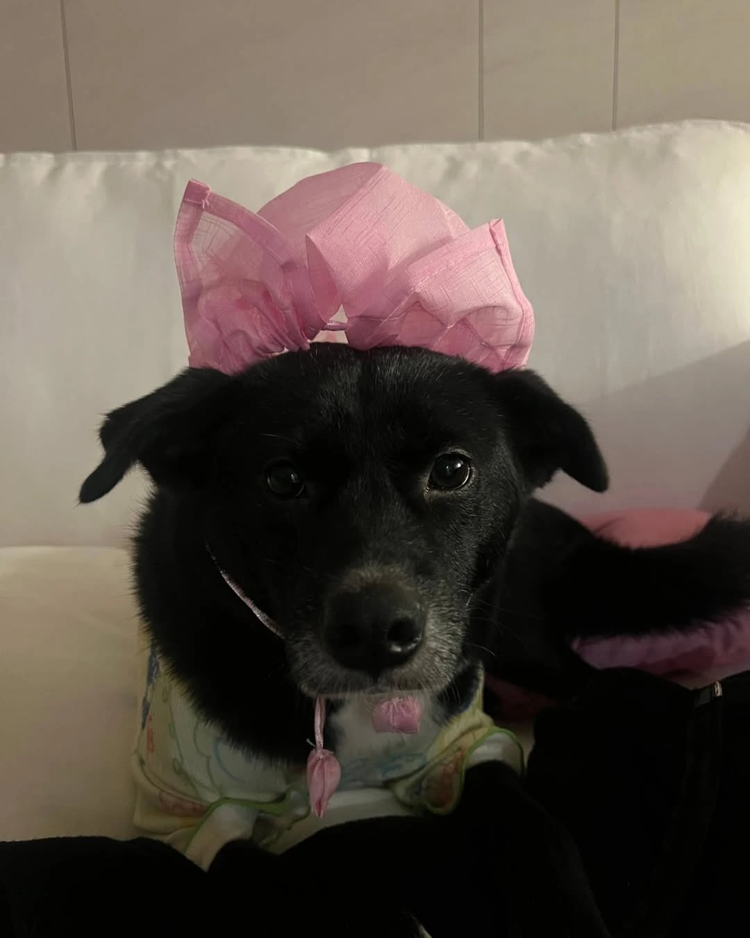 Yuki/Gallery | Twice Wiki | Fandom