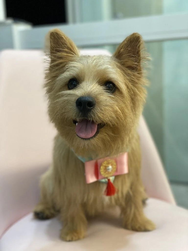 Boo | Twice Wiki | Fandom