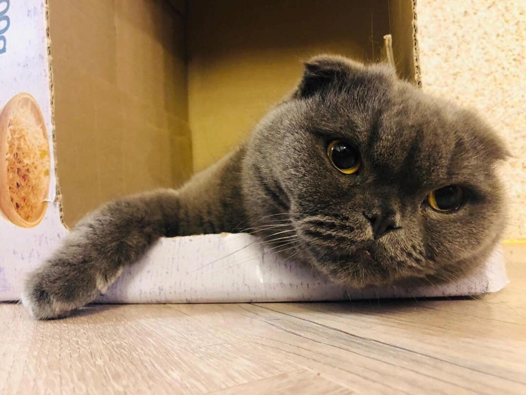 Bami | Twice Wiki | Fandom